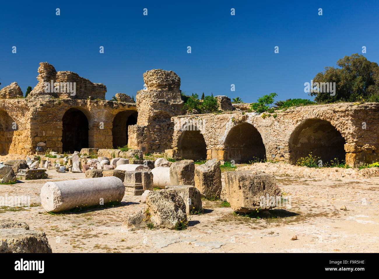 Old Carthage ruins in Tunisia Stock Photo - Alamy