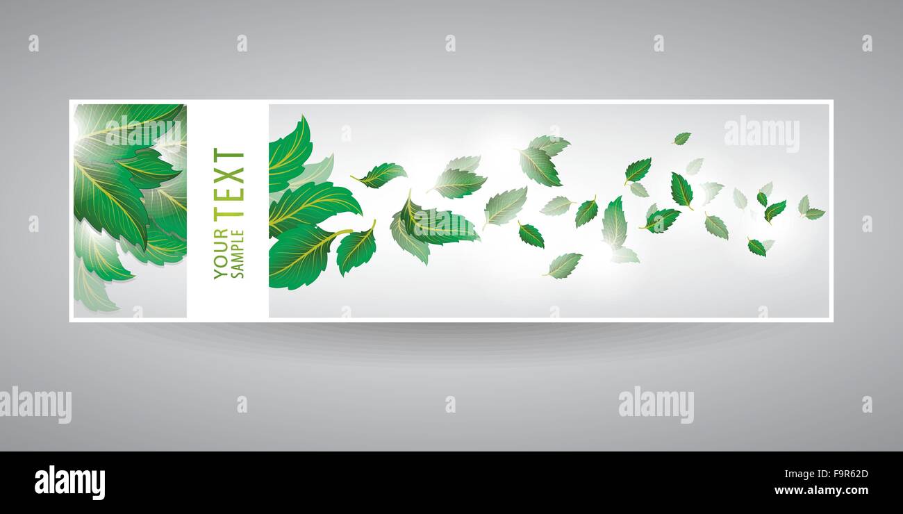 Vector abstract header set with leafes Stock Vector Image & Art - Alamy