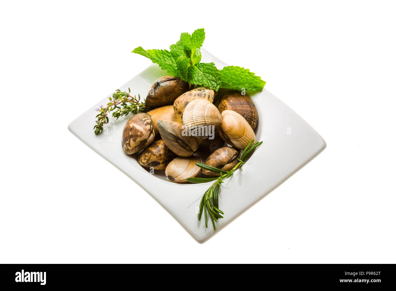 Spanish mollusc - Almeja Stock Photo - Alamy