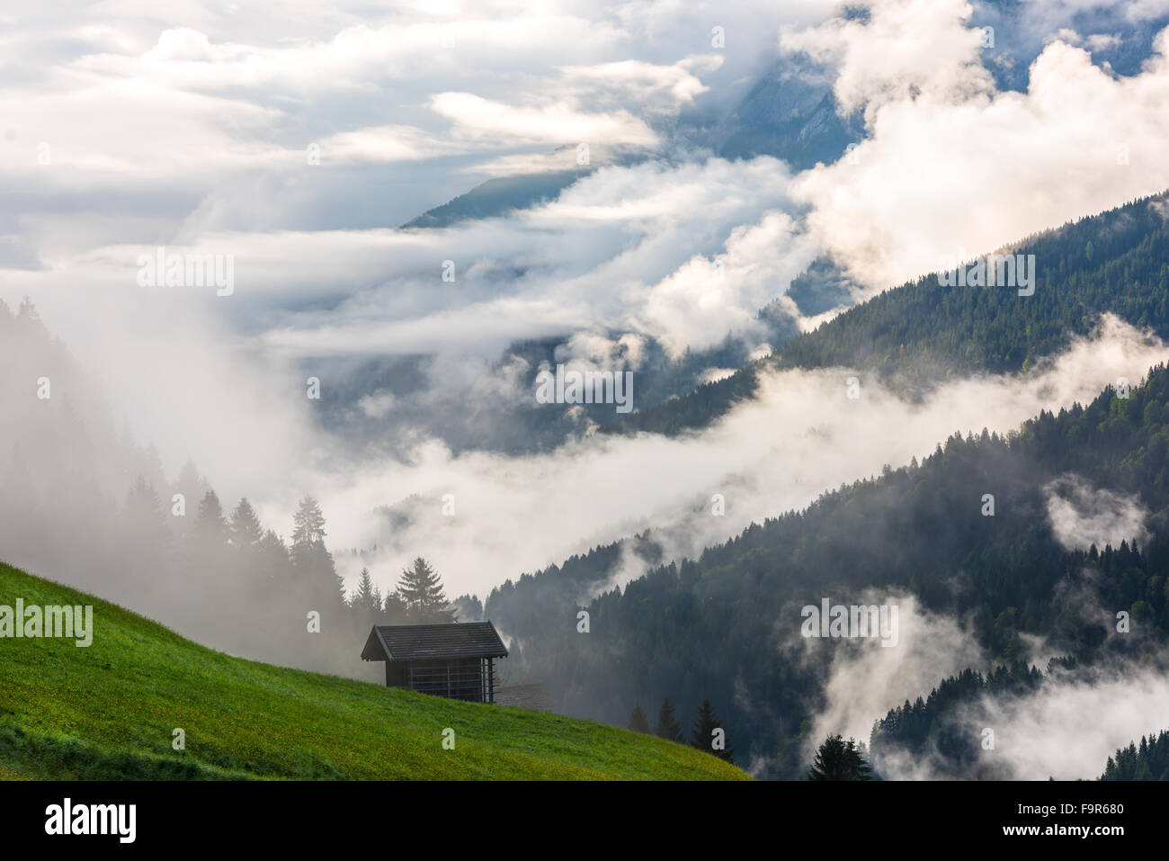 Small alpine house in green forest mountains in the foggy morning Stock ...