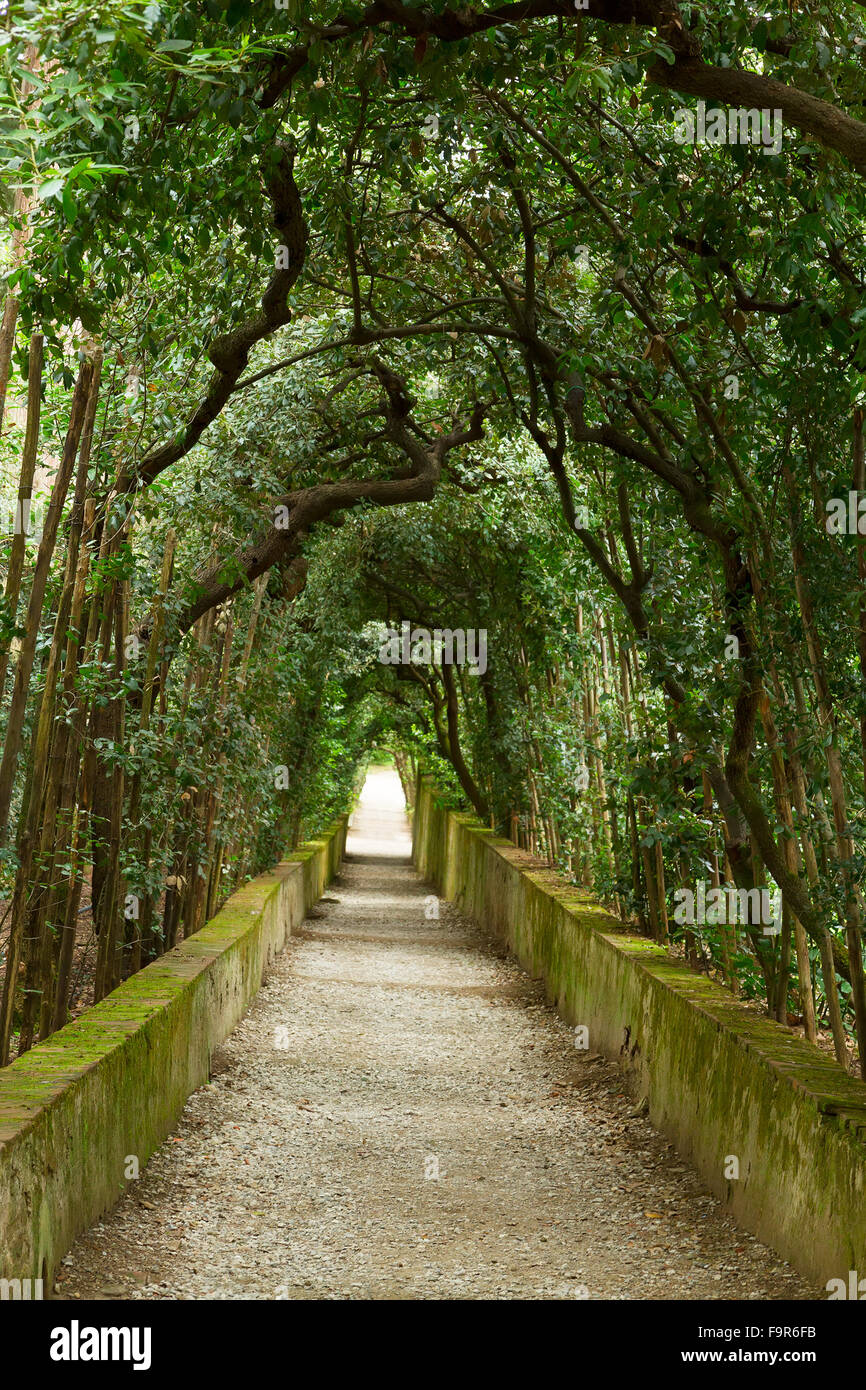 Florence boboli gardens spring hi-res stock photography and images - Alamy