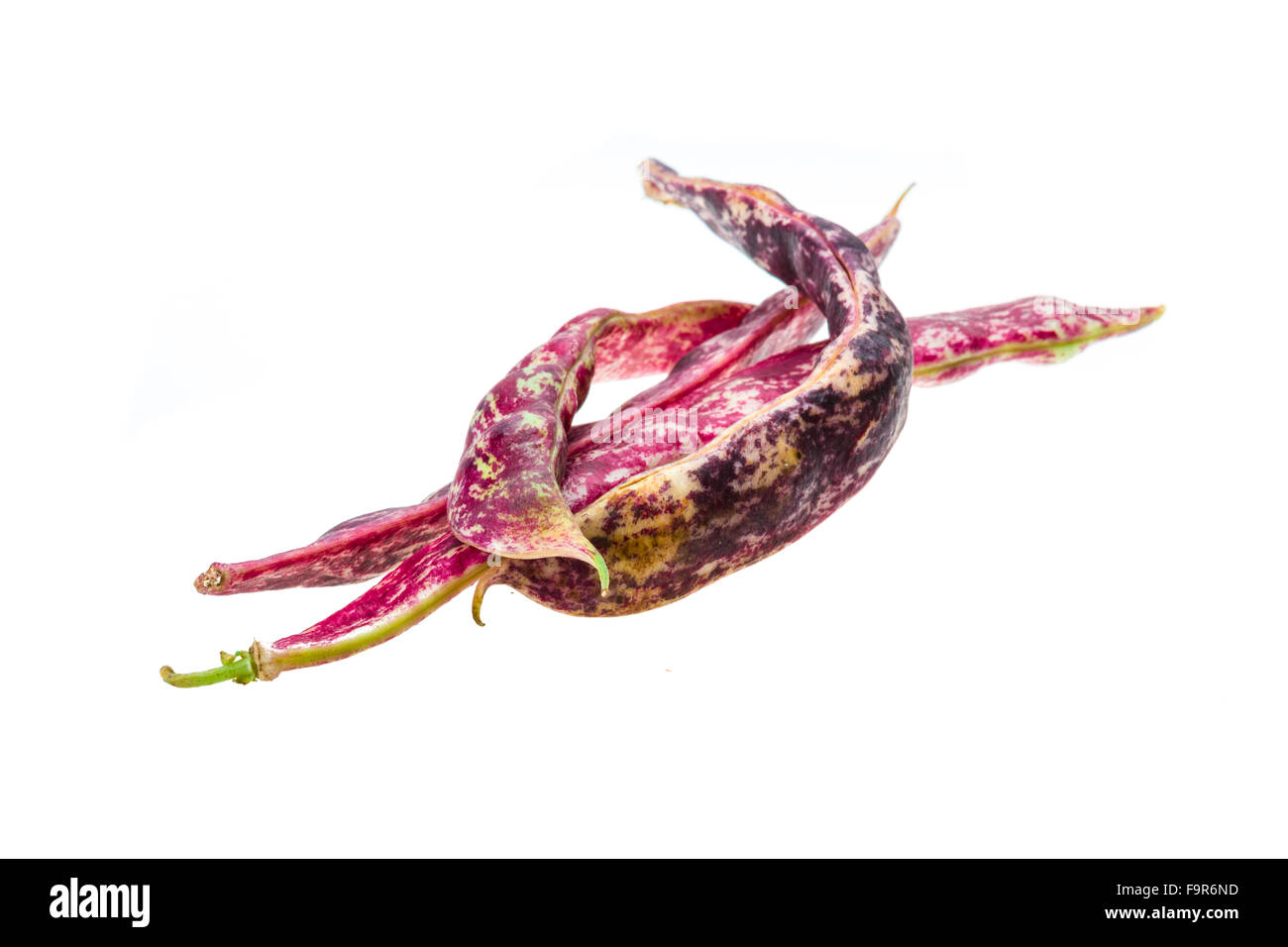 Red bean pod Stock Photo - Alamy