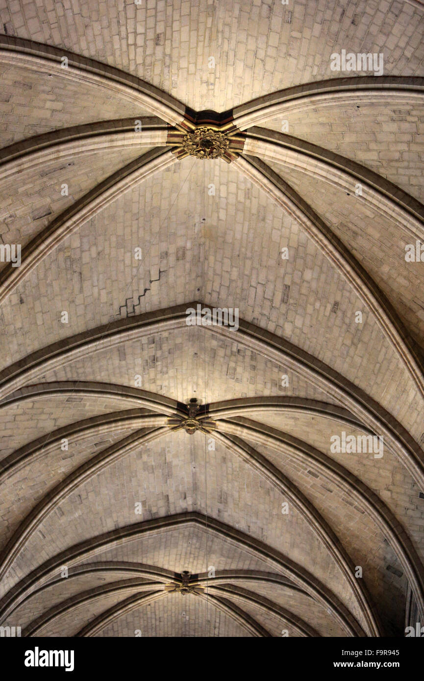 Vaults. Notre Dame de Paris Cathedral Stock Photo - Alamy
