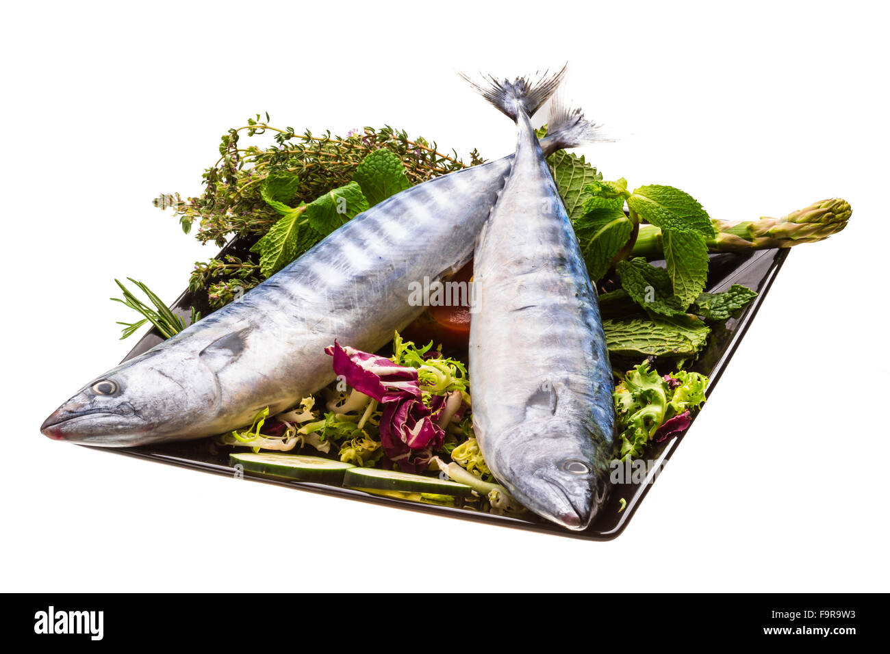 Atlanticmackerel hi-res stock photography and images - Alamy