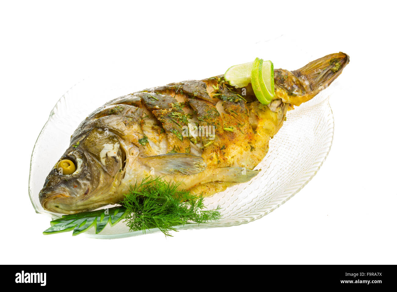 Fat carp Cut Out Stock Images & Pictures - Alamy