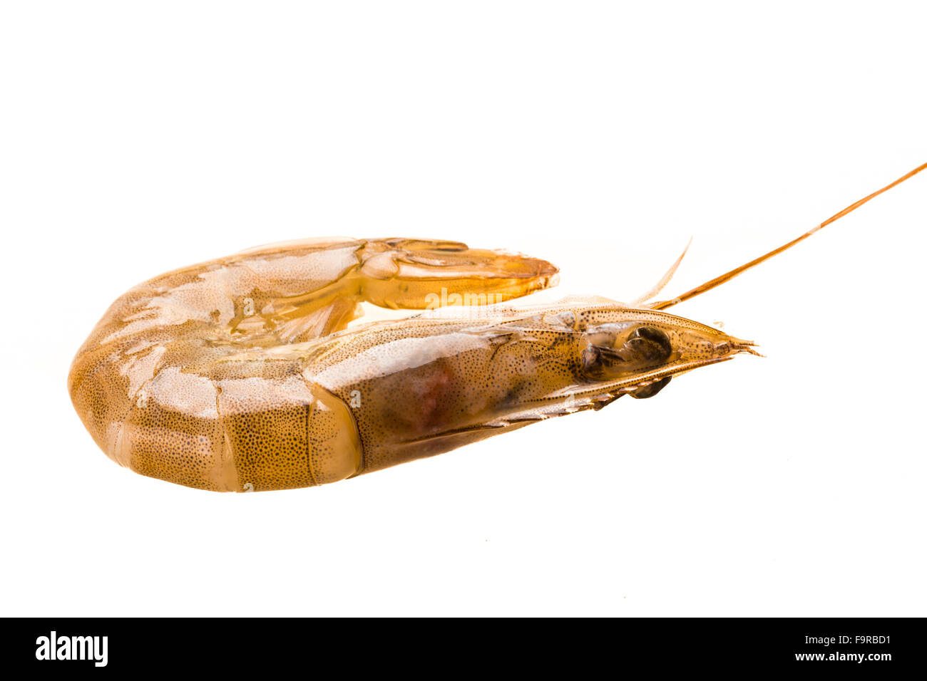 Big raw shrimps Stock Photo - Alamy