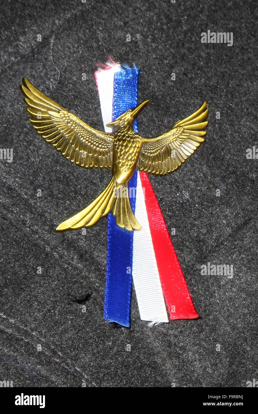 The Hunger Games Mockingjay Part 2 LA Premiere Featuring: Mockingjay ...