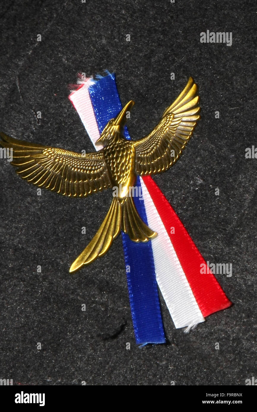 The Hunger Games Mockingjay Part 2 LA Premiere Featuring: Mockingjay ...