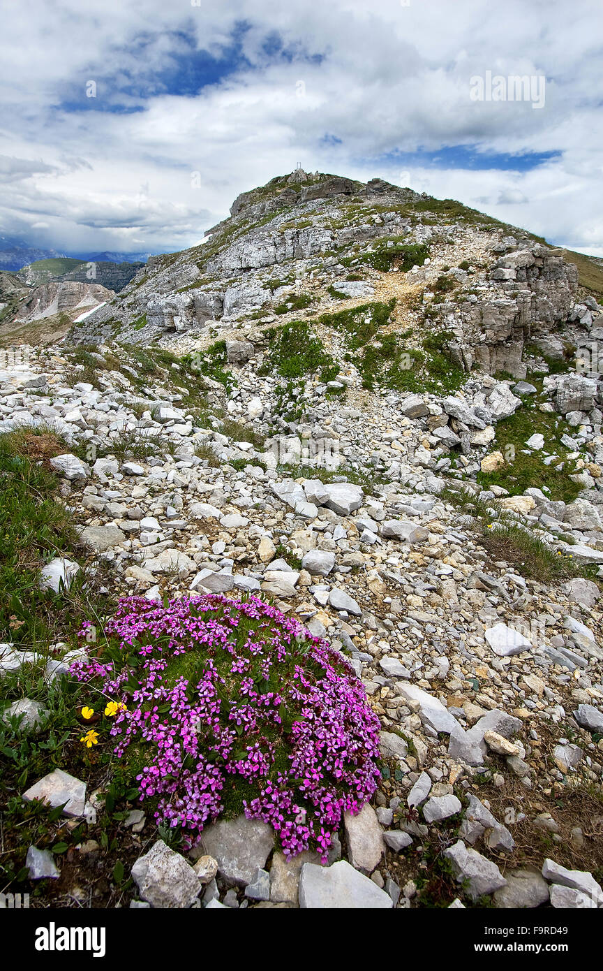 Cima Palon High Resolution Stock Photography and Images - Alamy