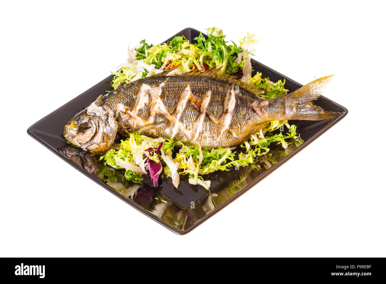 Salema porgy - sarpa fish Stock Photo - Alamy