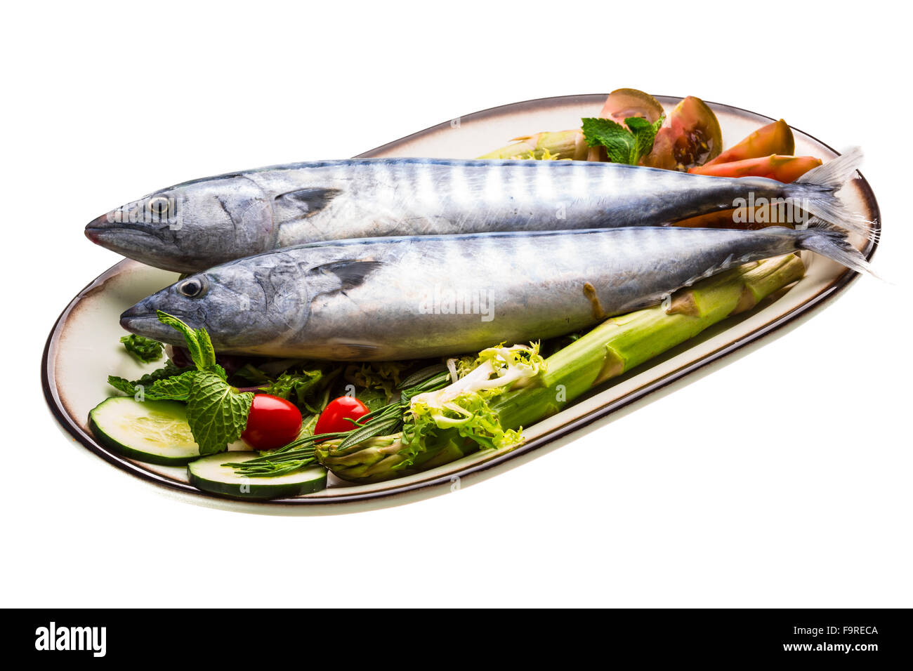 Atlanticmackerel hi-res stock photography and images - Alamy