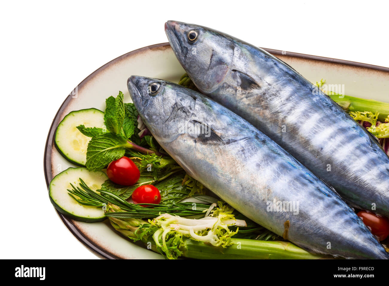 Atlanticmackerel hi-res stock photography and images - Alamy