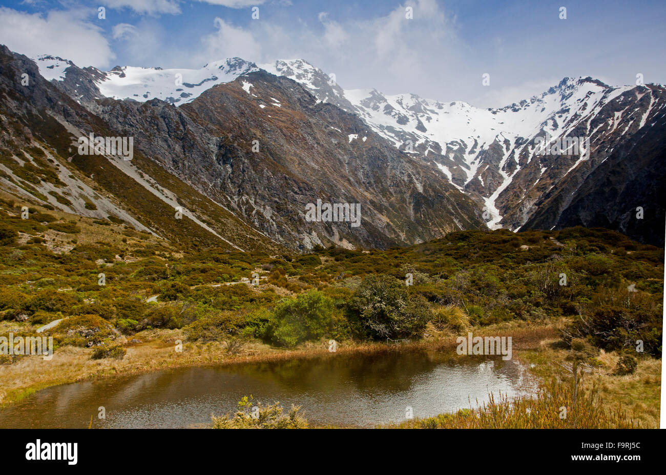 A View of one of the Red Tarns and part of the Aoraki/ Mount Cook range ...