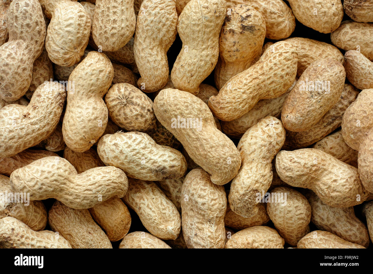 Peanuts in shell Stock Photo - Alamy