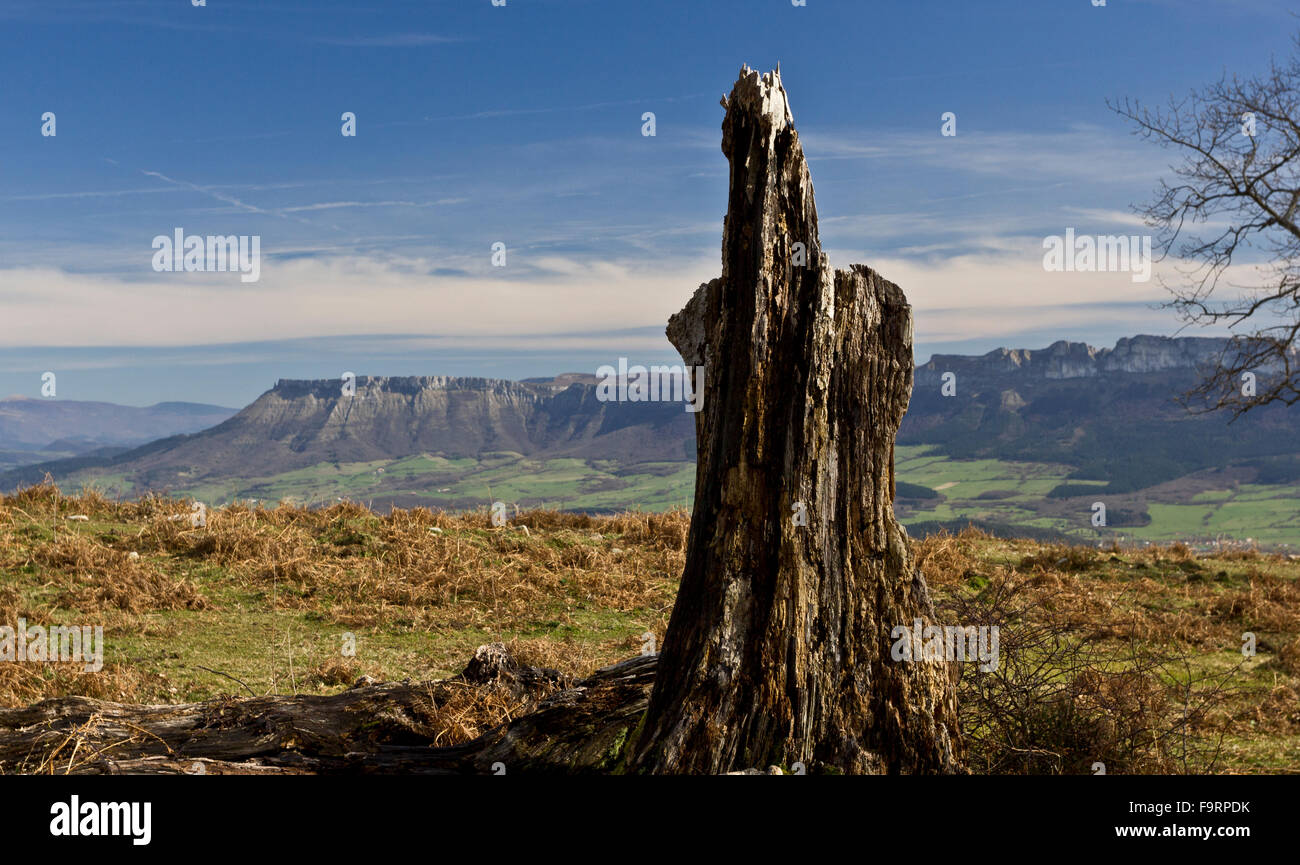 wooden hand pointing Stock Photo - Alamy