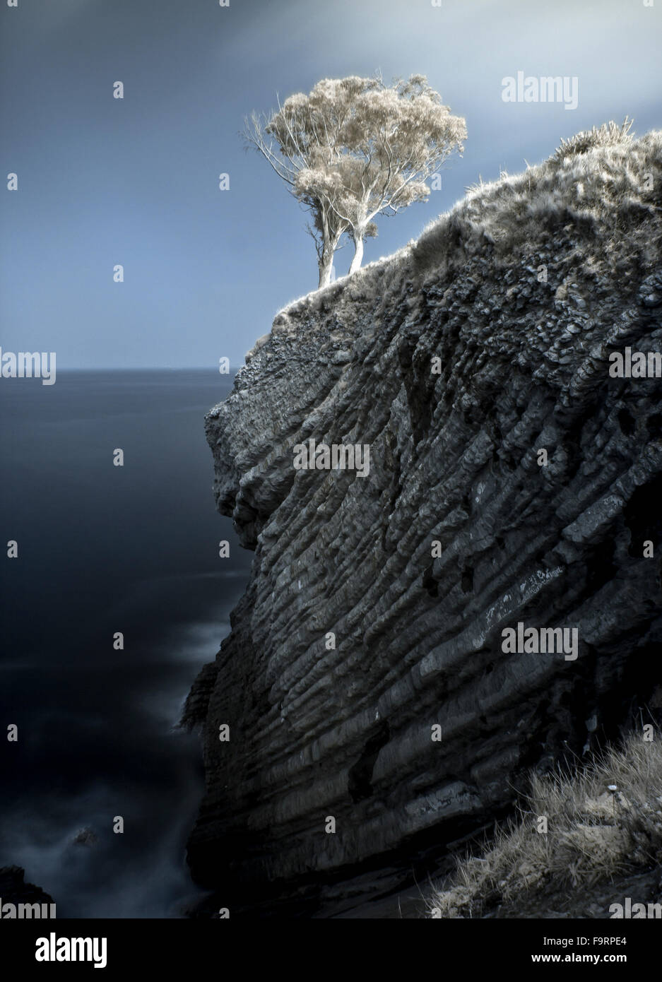 Alien shore landscape Stock Photo - Alamy