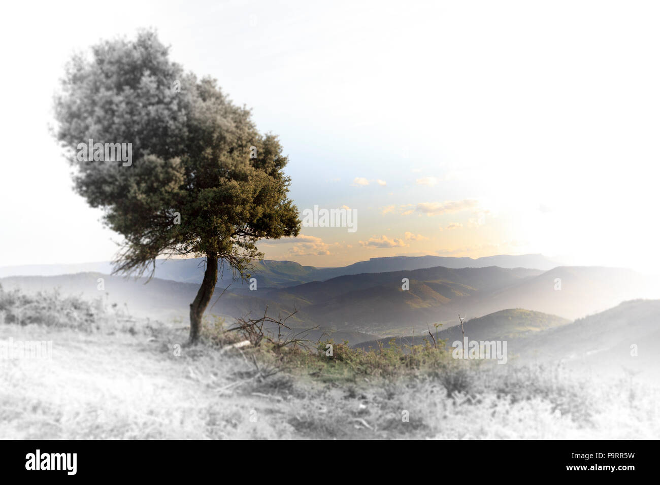 Unfinished landscape effect Stock Photo - Alamy