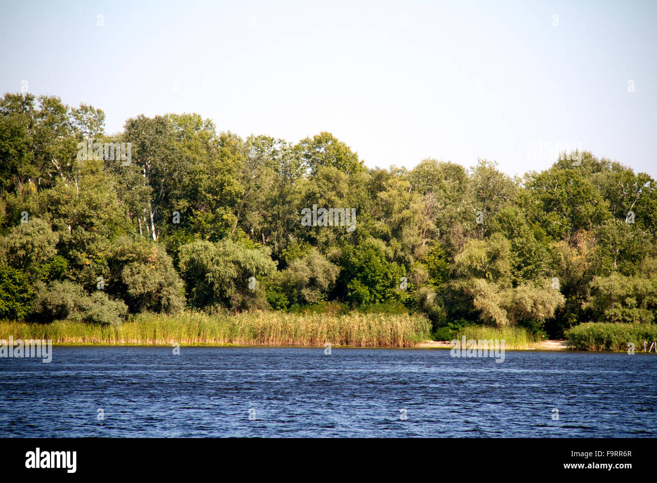 Dnipro river coast in Ukraine Stock Photo - Alamy