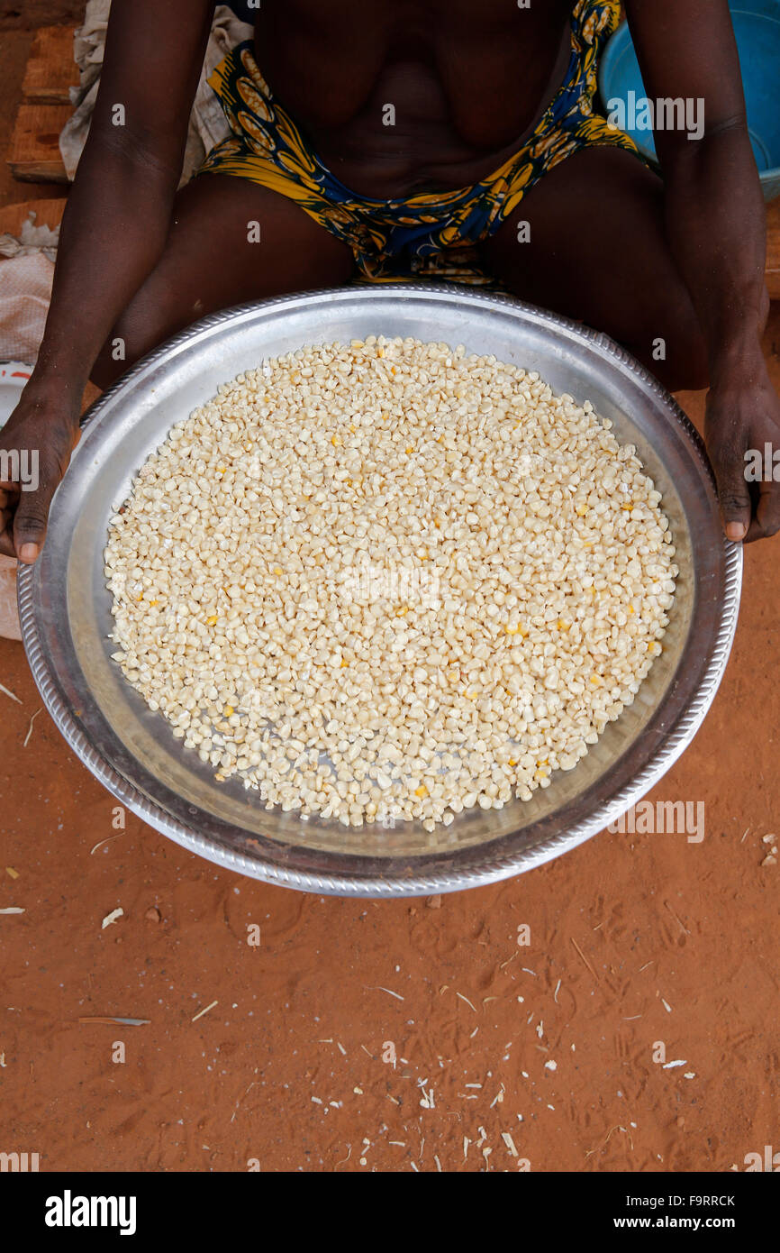 Farmer cleaning maize Stock Photo - Alamy