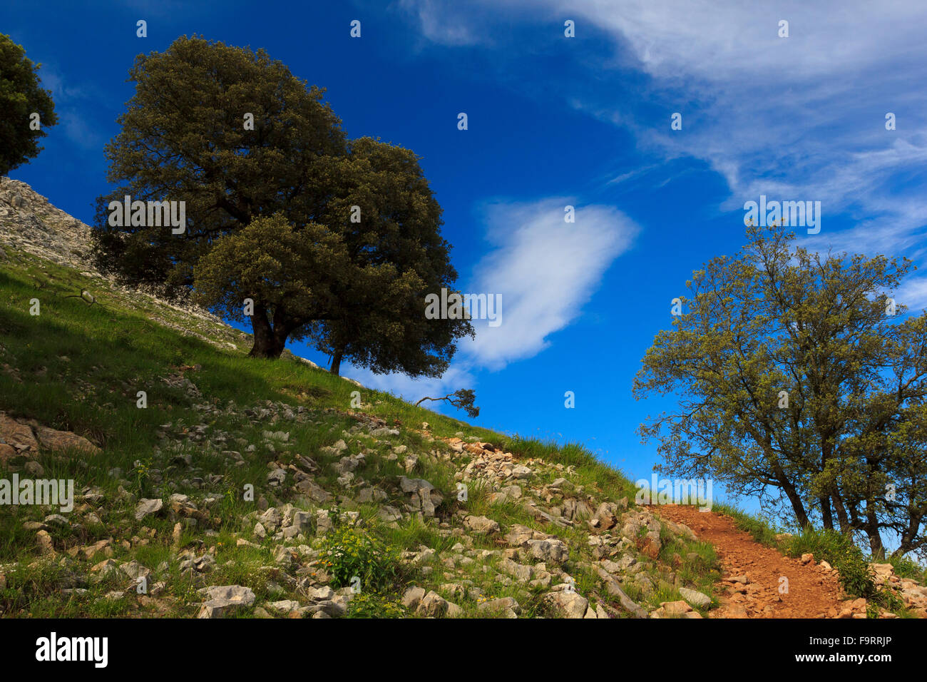 Diagonal composition landscape Stock Photo - Alamy