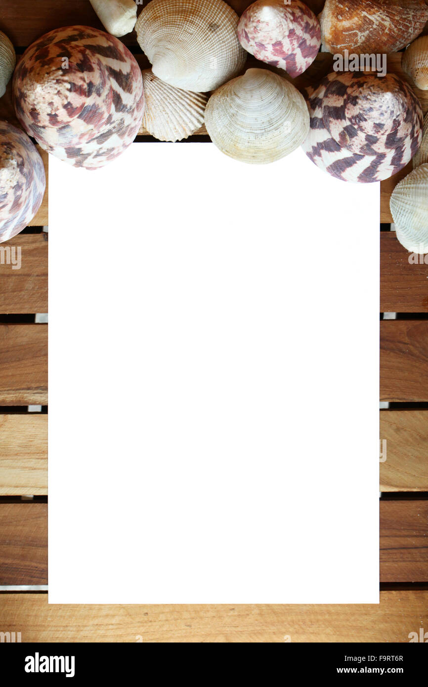 Sea shells frame on vintage shabby wood with blank paper Stock Photo ...