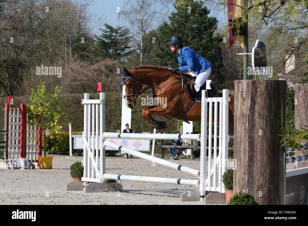 Equestrian show jumping Stock Photo - Alamy