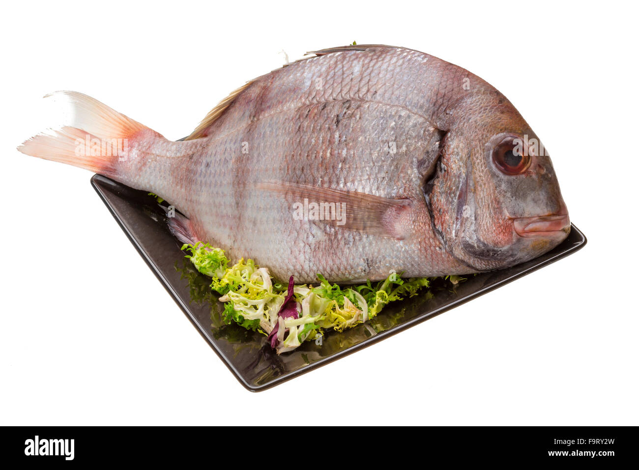 Red Seabream Cut Out Stock Images & Pictures - Alamy
