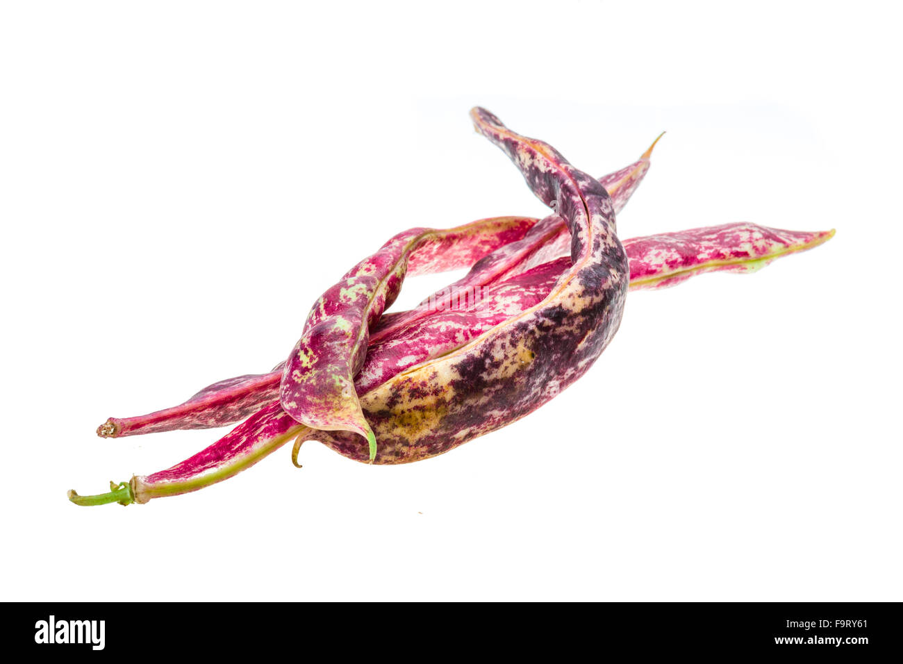 Red bean pod Stock Photo - Alamy