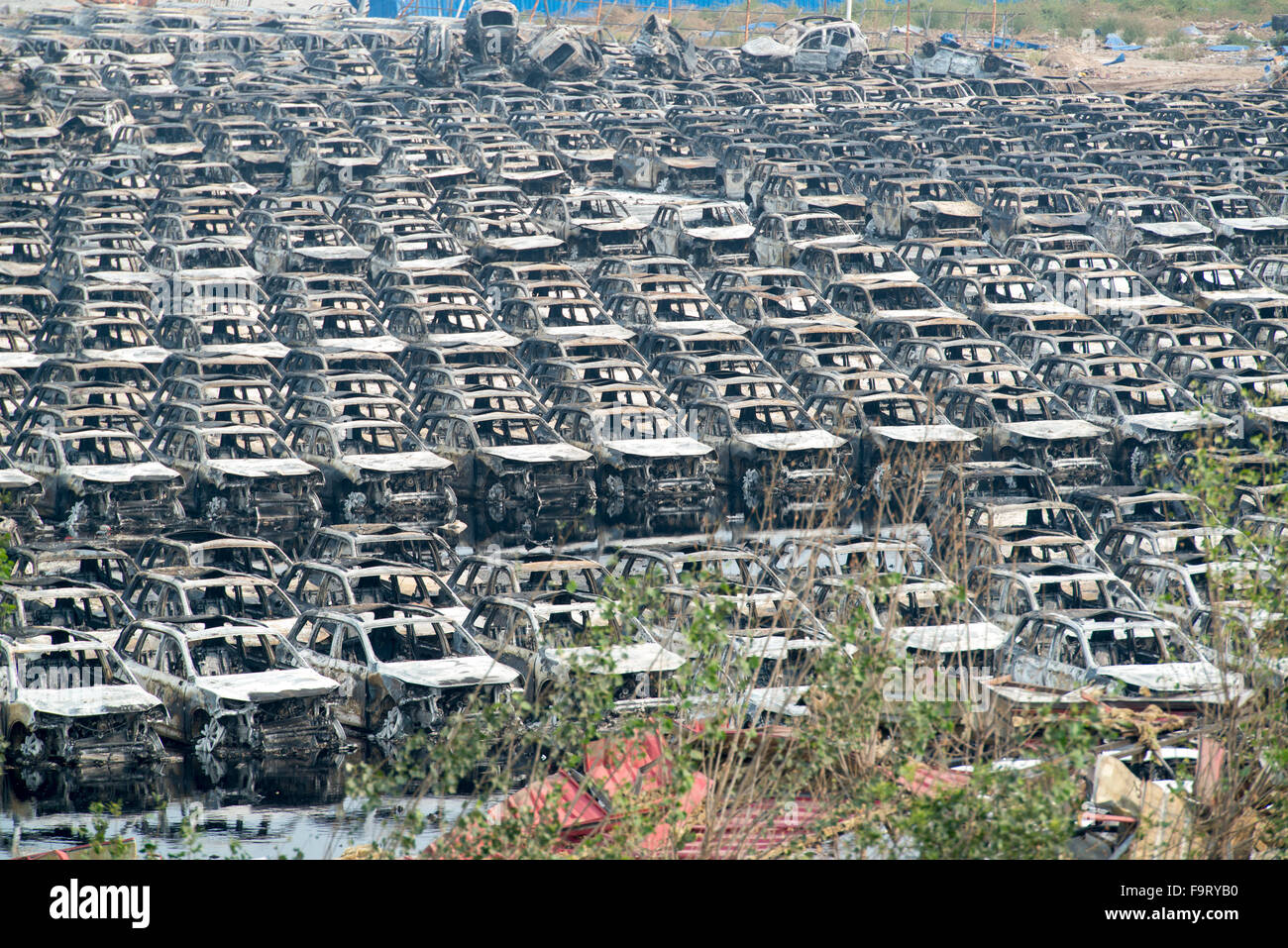 Tianjin Explosion aftermath, blast site. Photo Jayne Russell 17th ...
