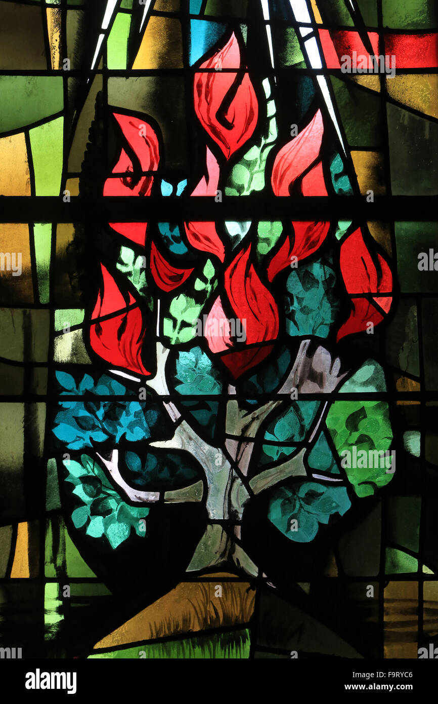Burning bush. Stained glass window. 1963. Max Ingrand. St. Ulrich ...
