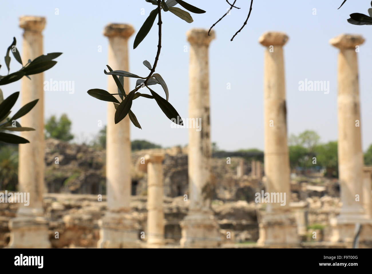 Roman Cardo in Beit She'an National Park Stock Photo - Alamy