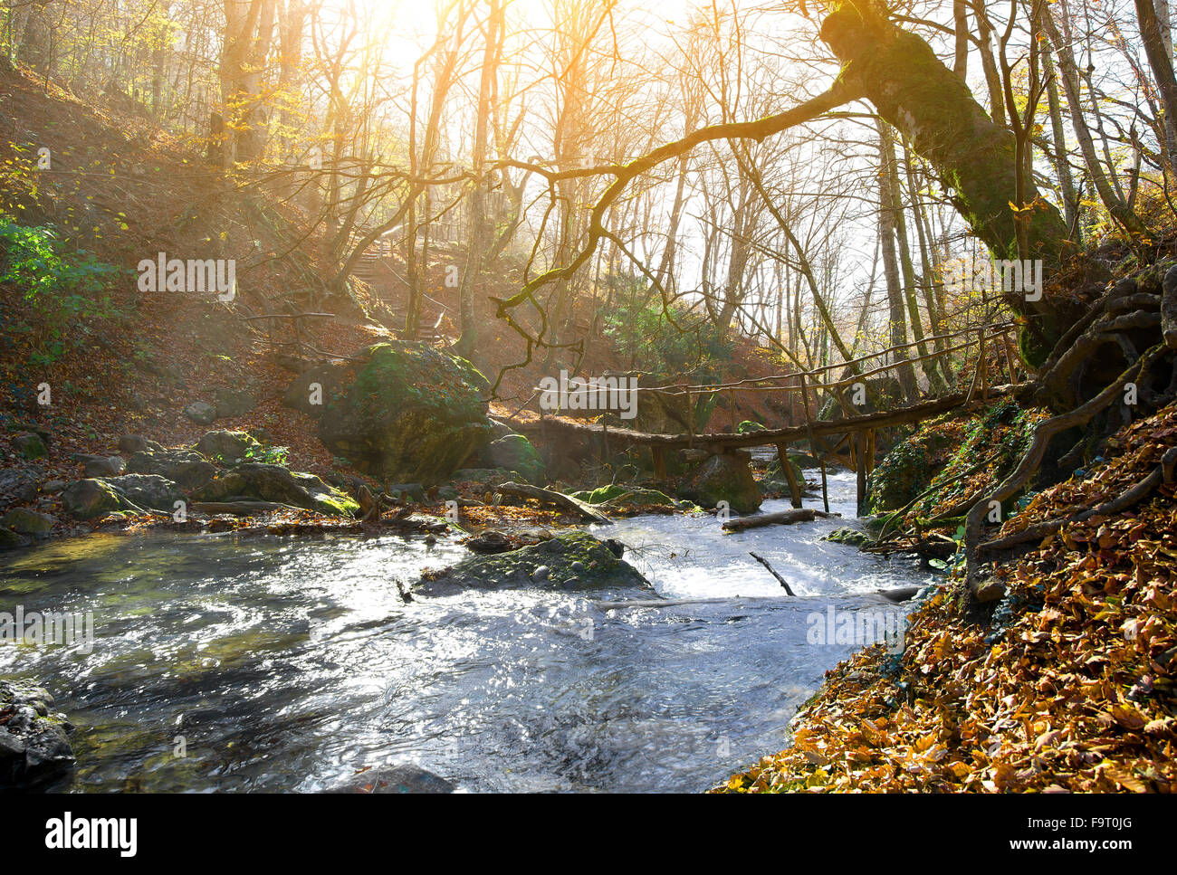 Mountain river scenic in fall hi-res stock photography and images - Alamy