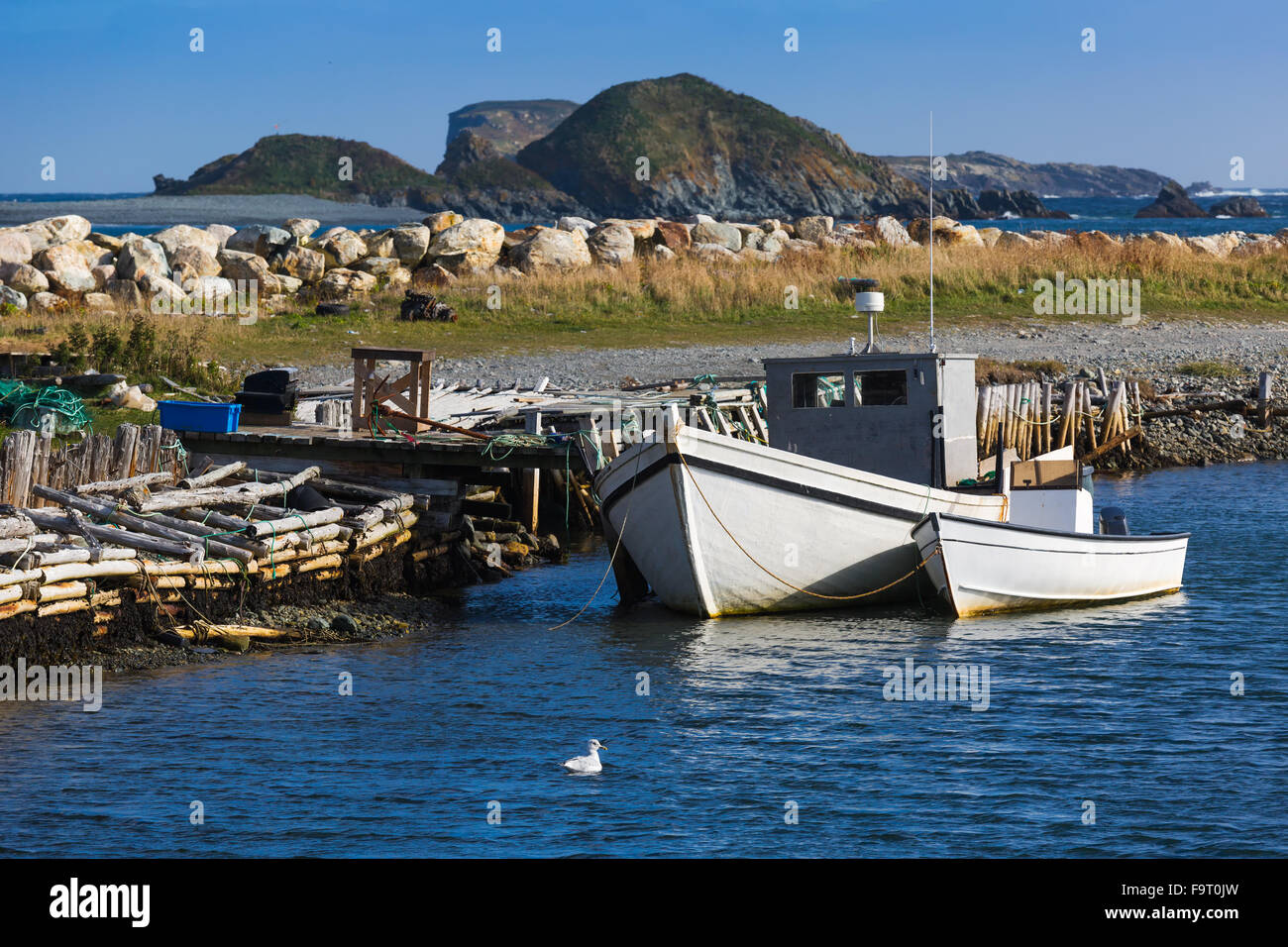 Fishing dory newfoundland hi-res stock photography and images - Alamy
