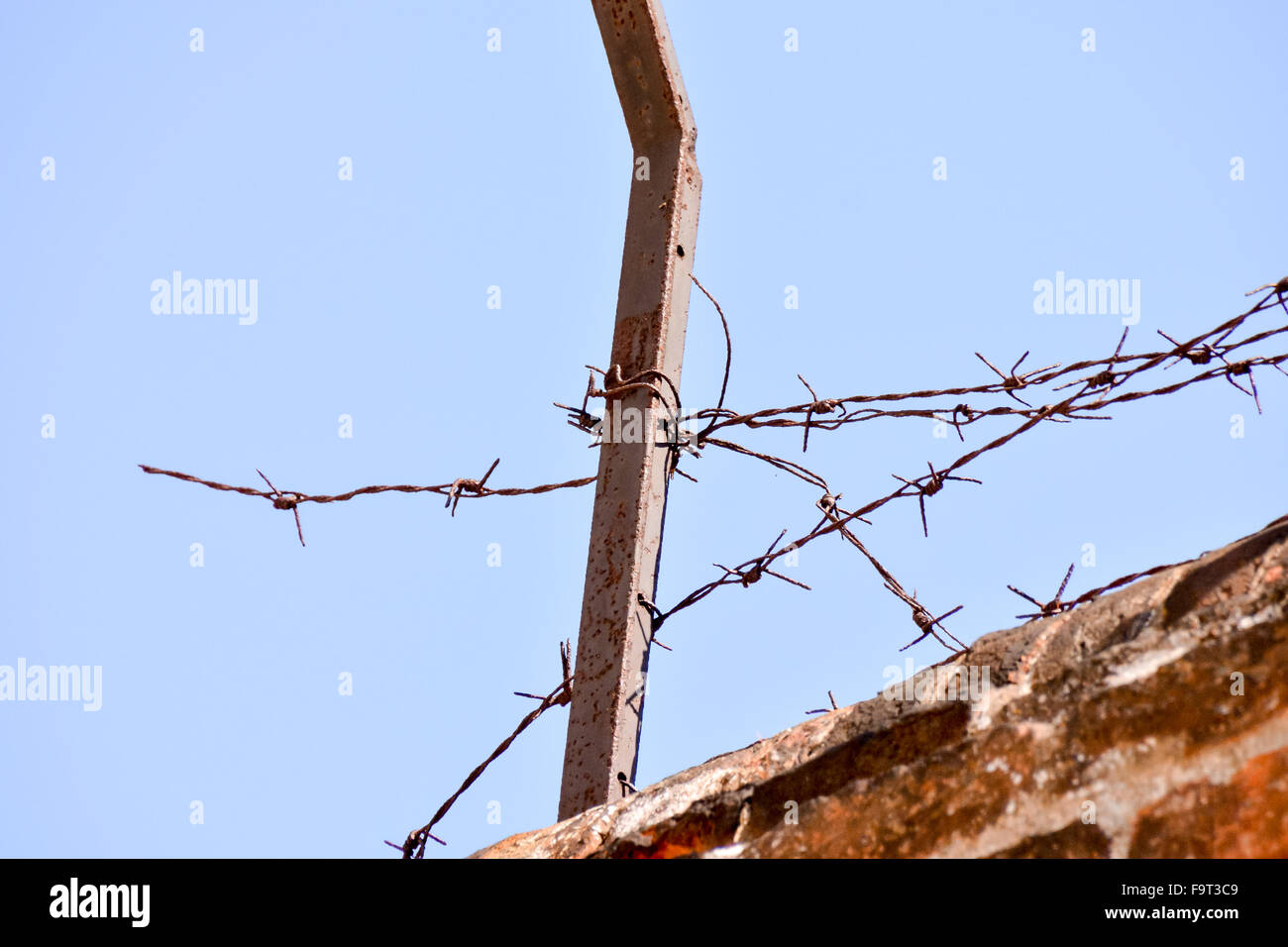 Dangerous Barbed Wire Stock Photo - Alamy