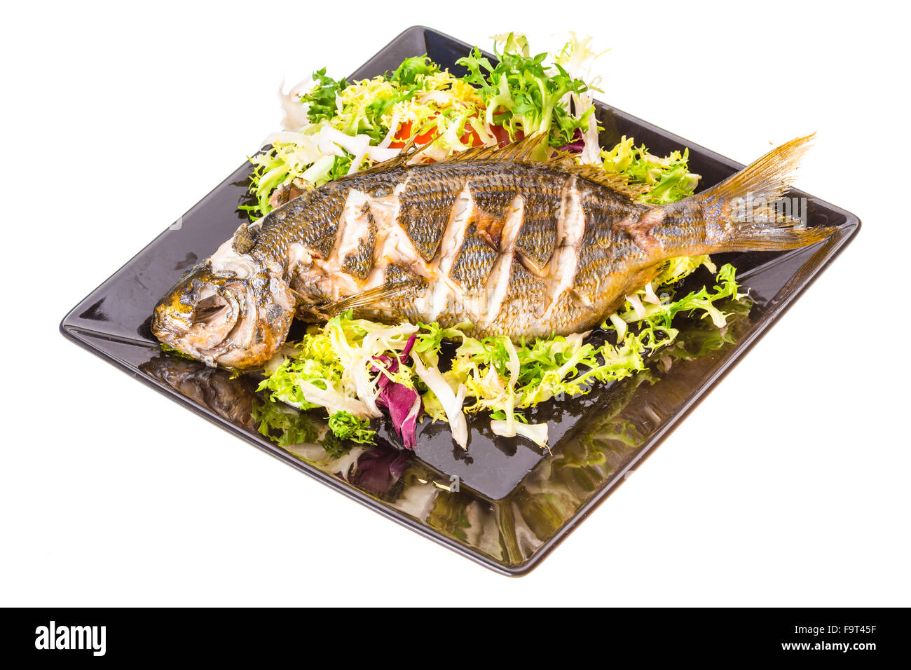 Salema porgy - sarpa fish Stock Photo - Alamy