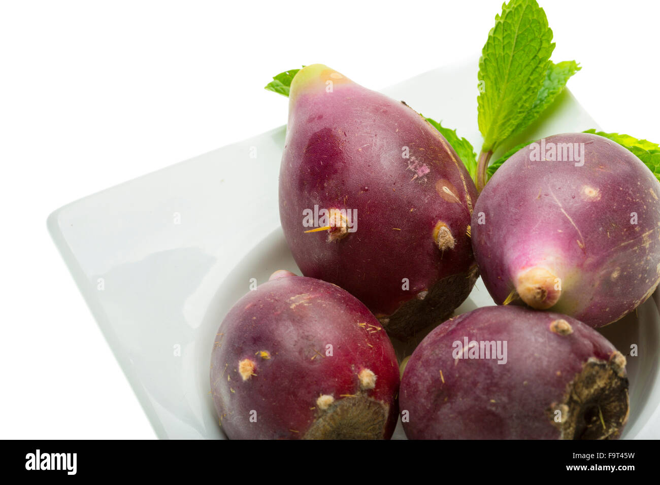 Sabr cactus hi-res stock photography and images - Alamy