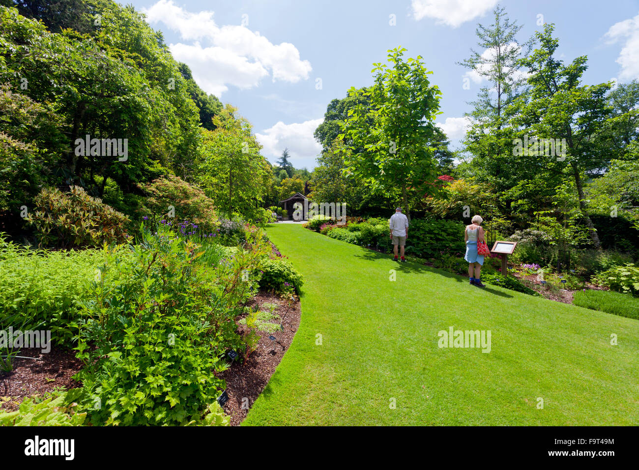The herbaceous borders and immaculate lawn in the Cherry Garden at RHS ...