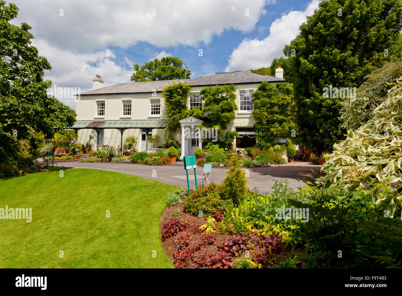 Devon lady hi-res stock photography and images - Alamy