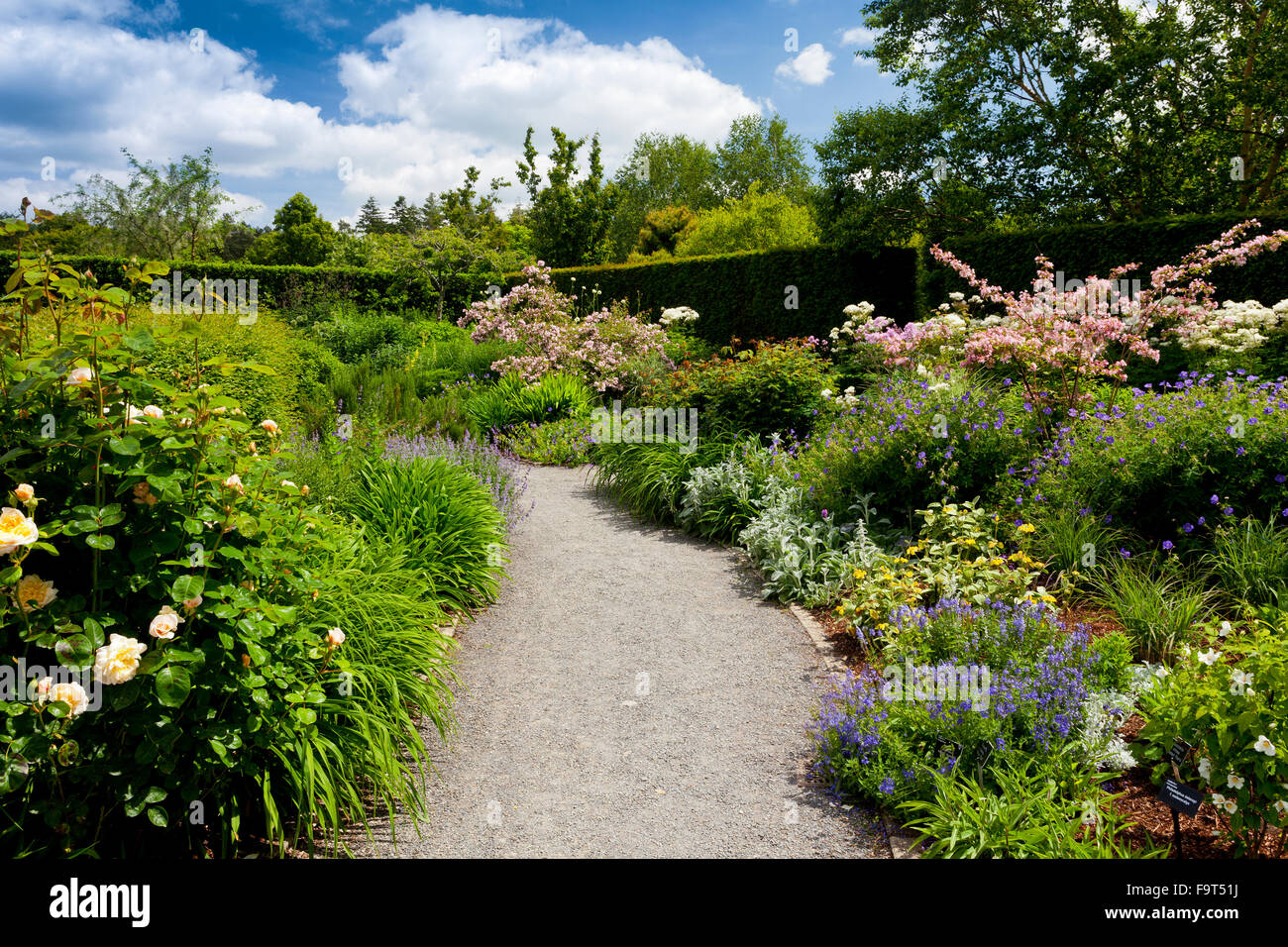 The Spiral Garden at RHS Rosemoor, North Devon, England, UK Stock Photo ...