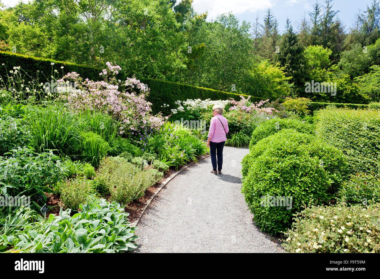 The Spiral Garden at RHS Rosemoor, North Devon, England, UK Stock Photo ...