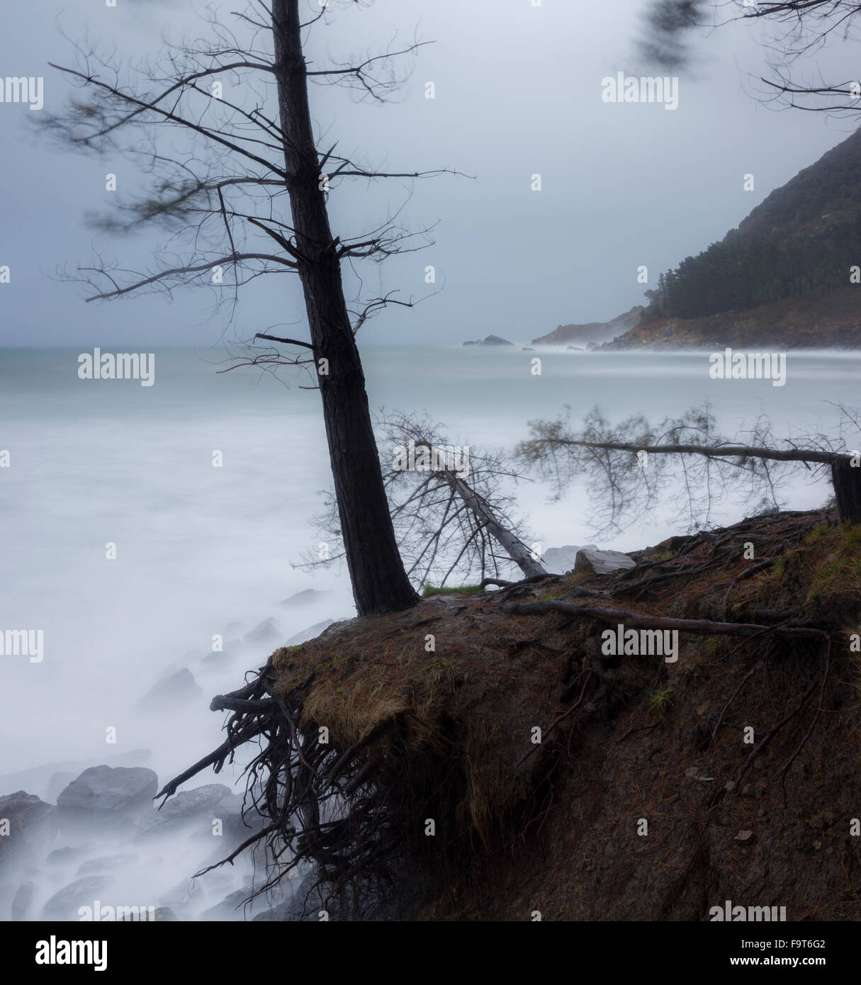 landscape of the shore in rainy day Stock Photo - Alamy
