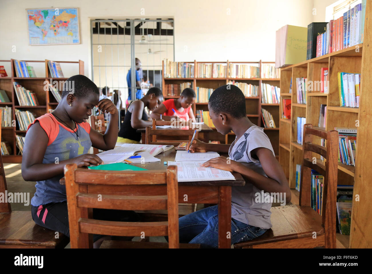 Homework in the library. Primary School Stock Photo - Alamy