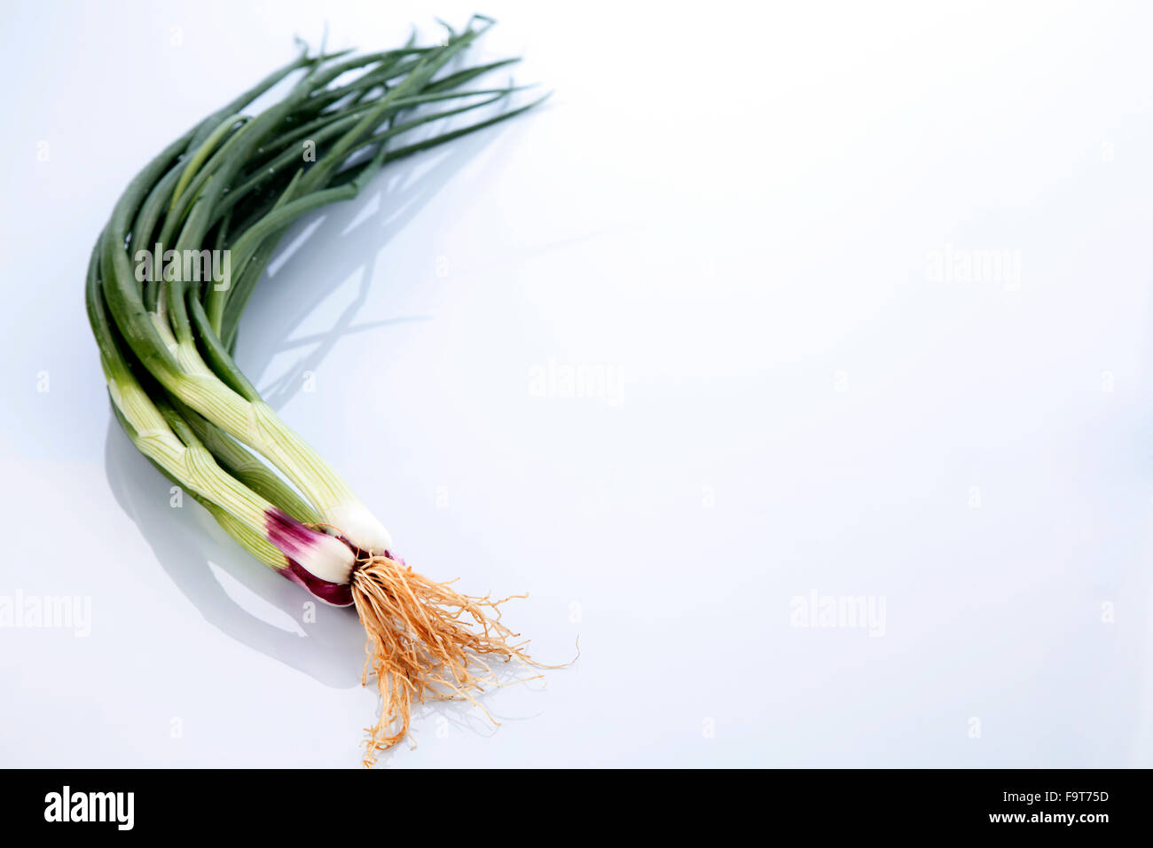 Spring Onions on White Background Stock Photo - Alamy