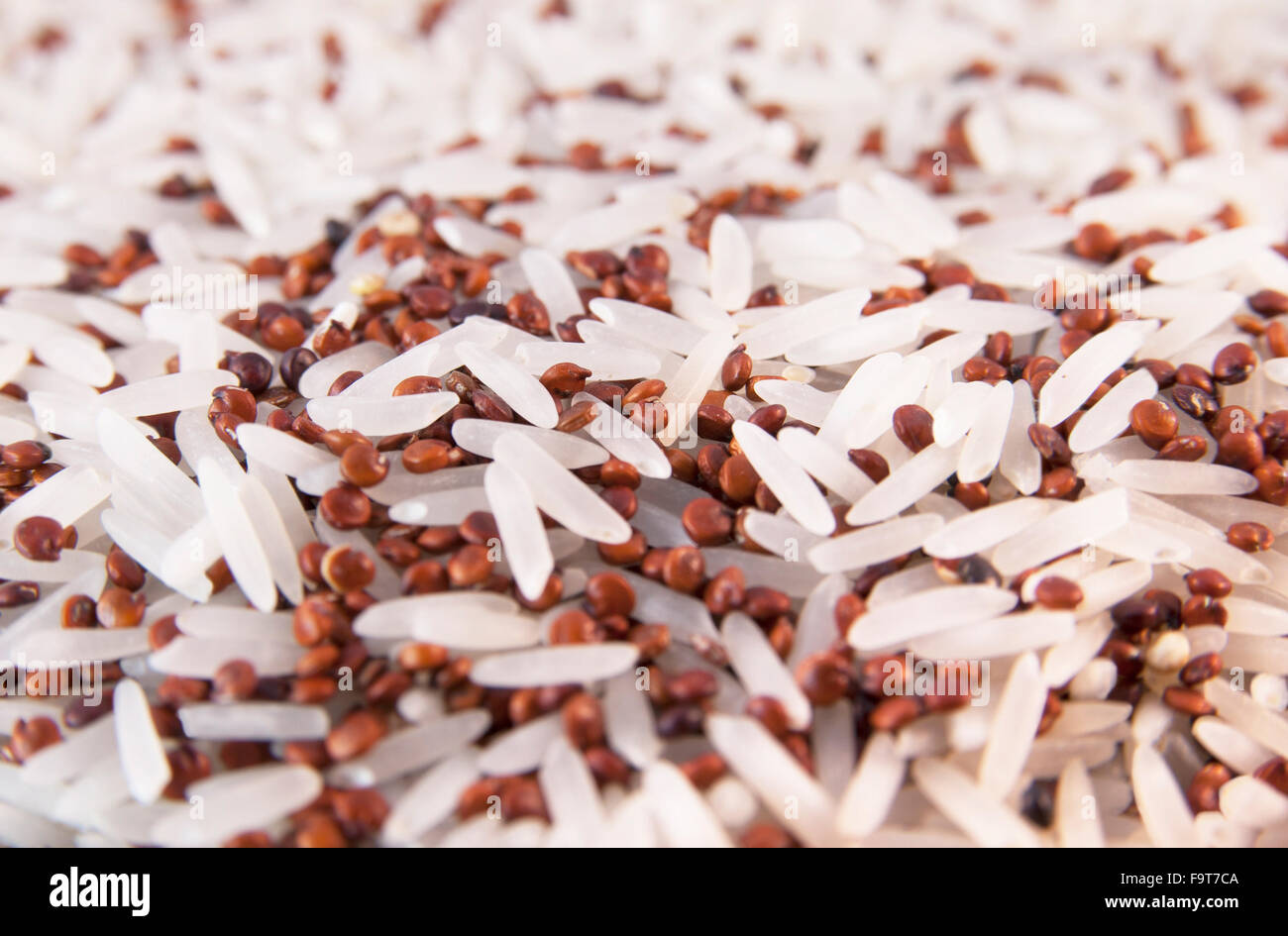 Mix of quinoa and basmati rice Stock Photo - Alamy