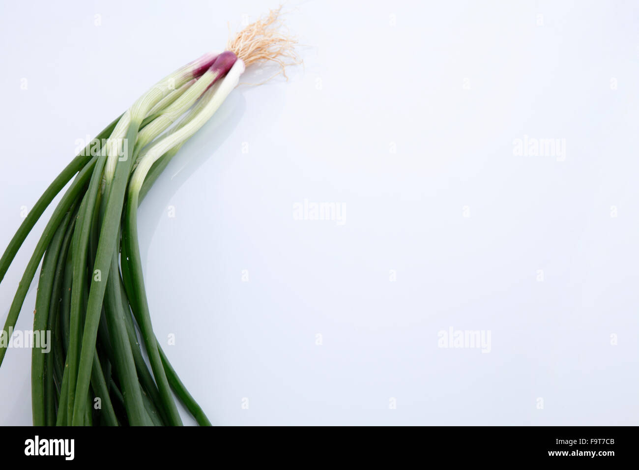Spring Onions on White Background Stock Photo - Alamy