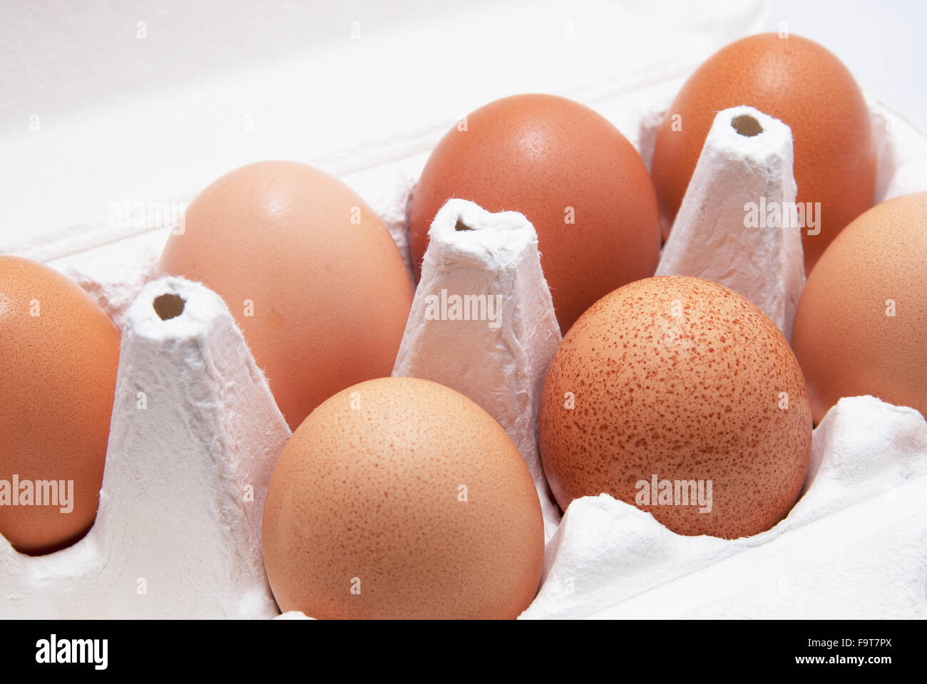 Seven eggs in a white paper container Stock Photo - Alamy