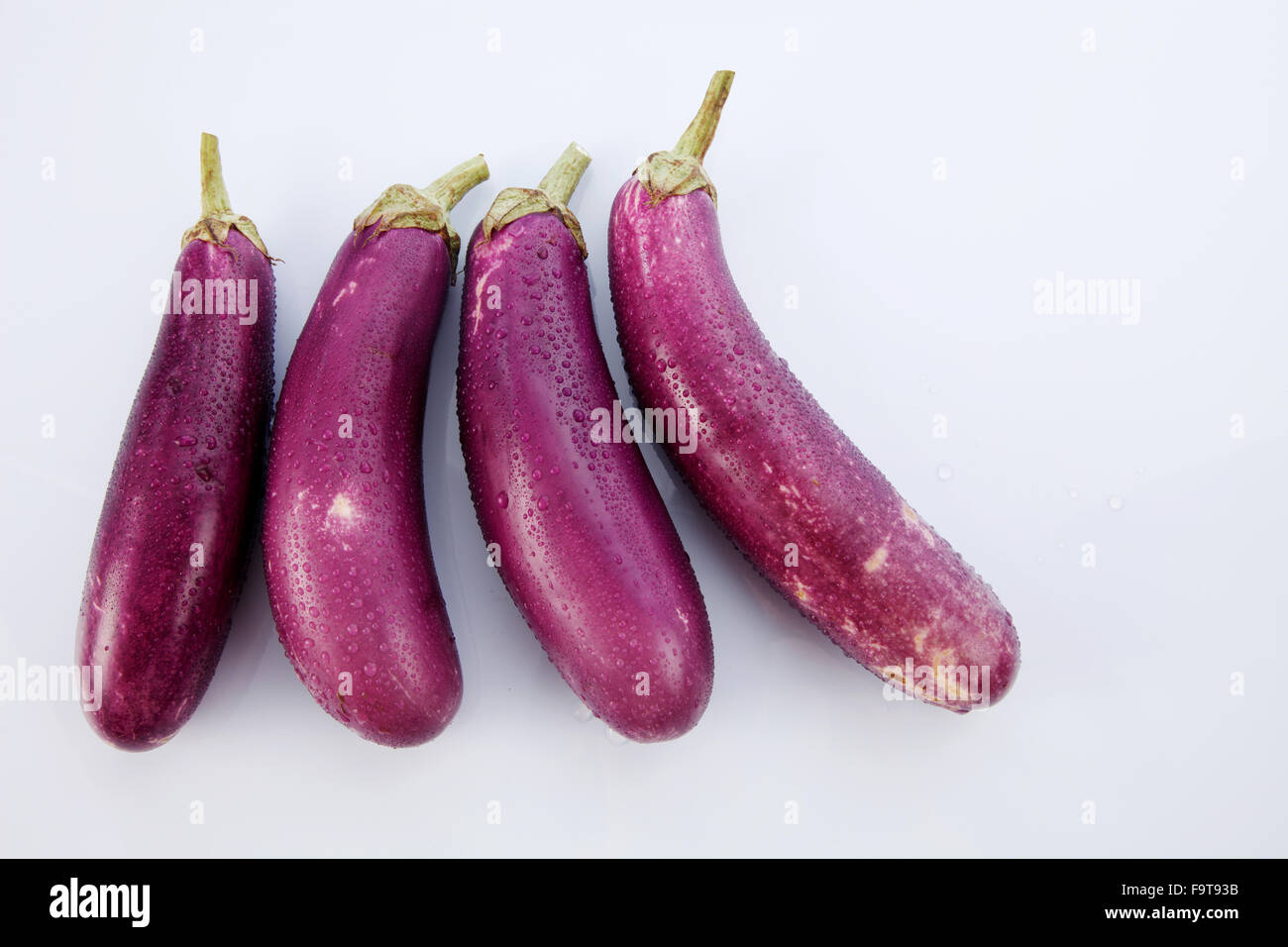 Brinjal isolated on white background Stock Photo - Alamy
