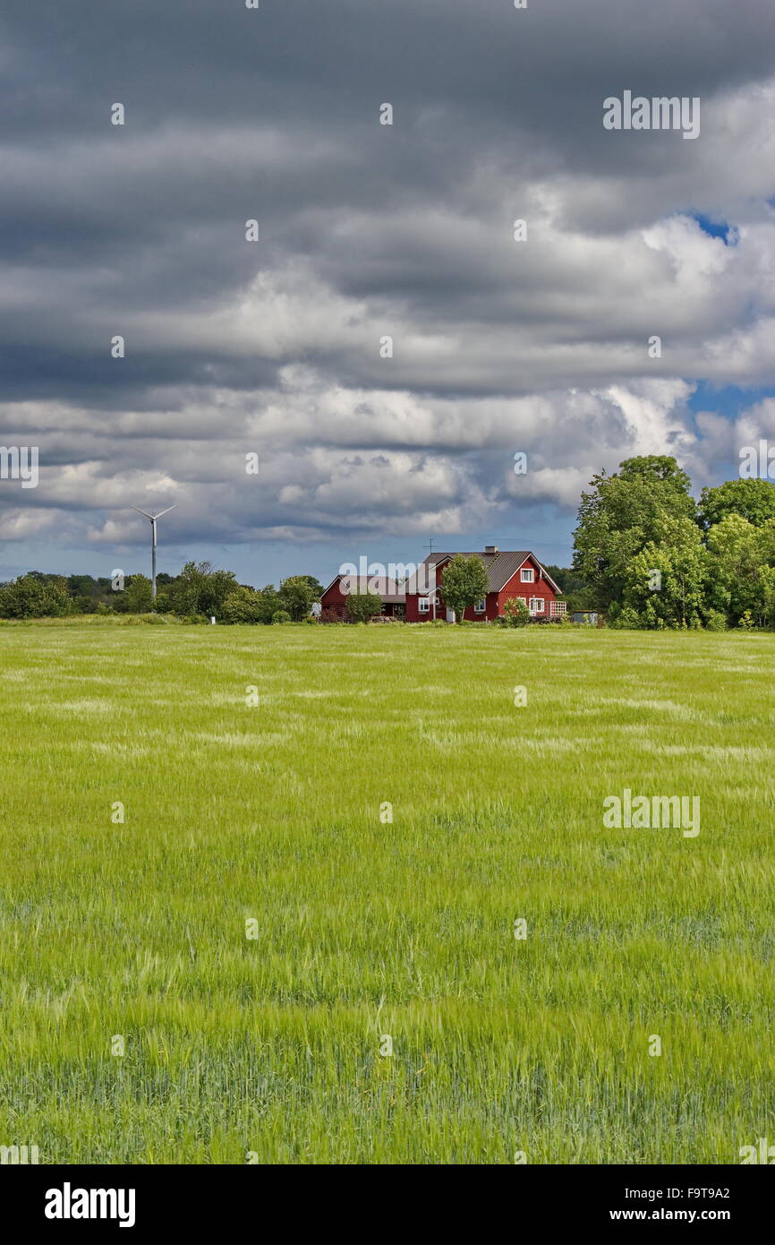 estonian countryside - green field, cloudy sky and traditional rural ...