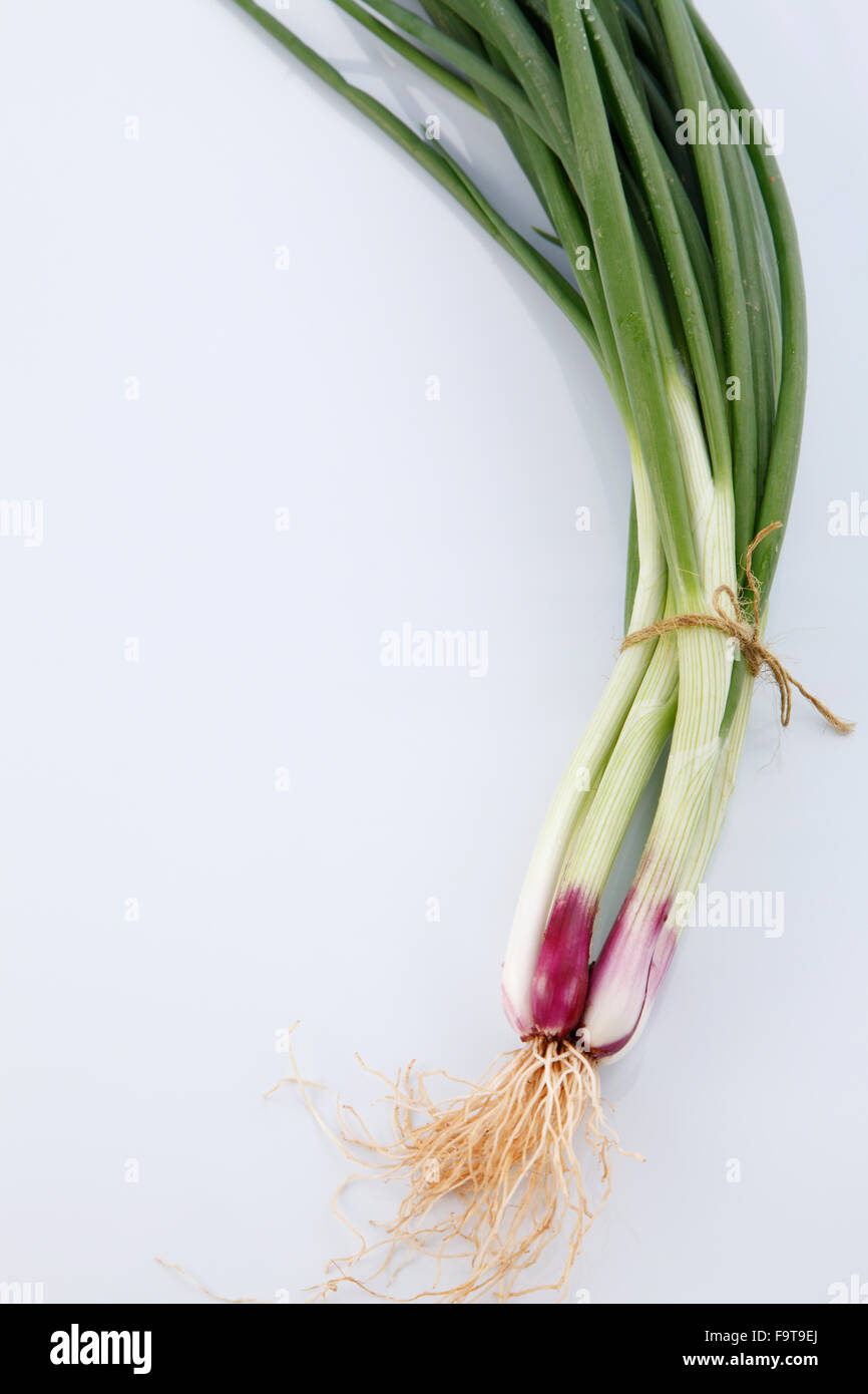 Spring Onions on White Background Stock Photo - Alamy