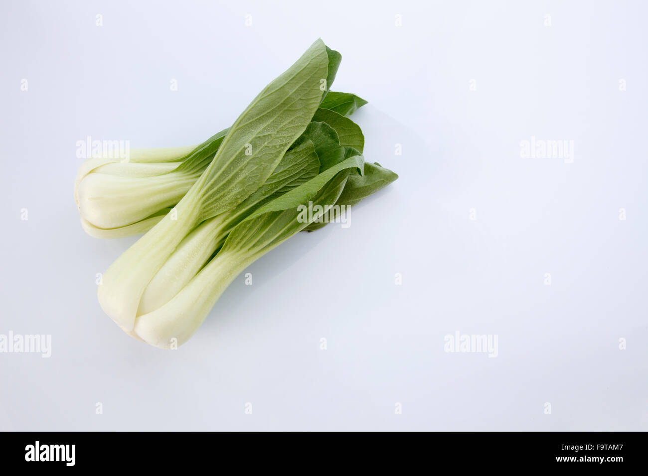 Bok choy isolated on white Stock Photo - Alamy